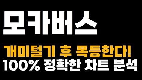 모카버스 코인 전망 개미털기 후 폭등한다 Youtube