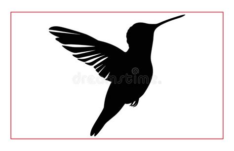 Hummingbird Silhouette Humming Bird Bird Flying In Open Air Stock
