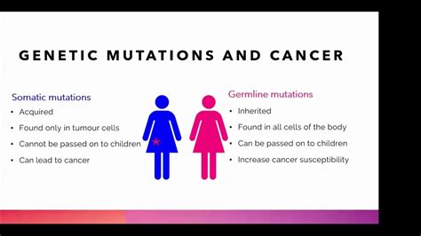 Difference Between Somatic Mutation And Germline Mutation Youtube