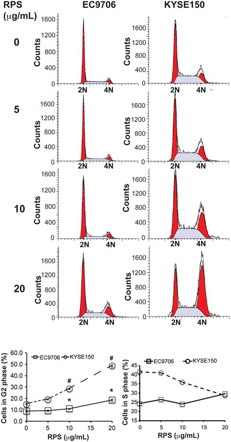 Rps Promoted Cell Cycle G2 M Phase Arrest Cells Used For Analyzing Download Scientific Diagram