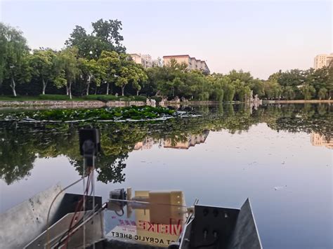 Real Time Visual Representation From The Robots Perspective Download Scientific Diagram