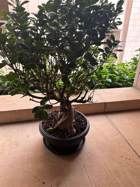 Coding Teamwork Collaboration Professionaldevelopment Softskills