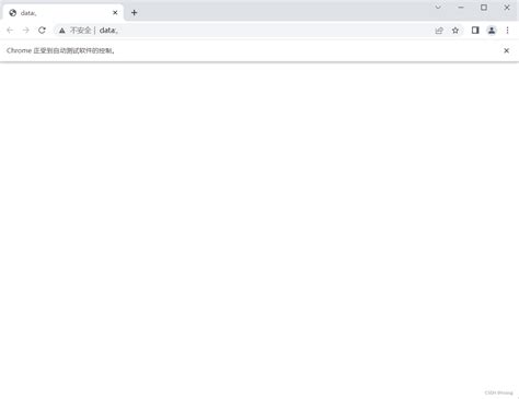 使用 Python Selenium 批量下载需要登录的网站上数据python 下载需要登录账号密码的文件 Csdn博客