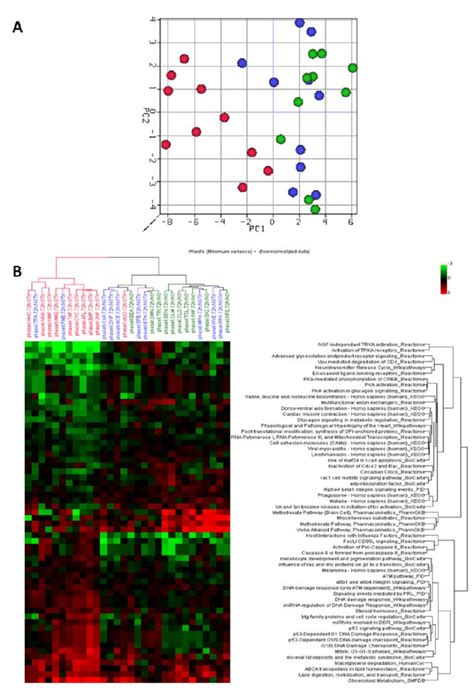 A Principal Component Analysis And B Hierarchical Clustering