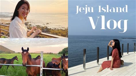 여행vlog ┃제주도여행 브이로그🌴┃제주도 카페투어 감성카페☕ 제주핫플레이스 인생샷 명소📸 소품샵 가볼만한곳 Youtube
