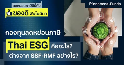 กองทุน Thai Esg คืออะไร ลดหย่อนภาษีแบบใหม่ เทียบกับ Ssf Rmf ต่างกันอย่างไร Finnomena