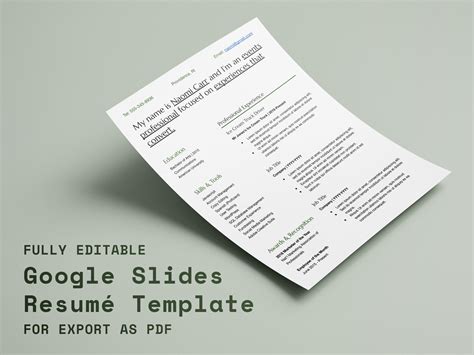 Stylish Google Slides Resume Template PDF Export Google Etsy