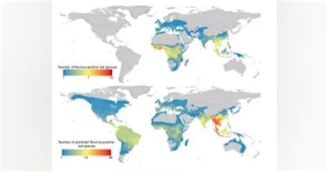 Machine Learning Algorithm Being Used To Track Ebola Infested Bats