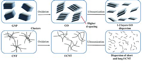 Schematic Representation Of Stages Of Functionalization And Dispersion Download Scientific