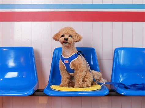 Ai서머리 메이크스타 300억 시리즈 D 투자 유치‧스파크랩 서울대병원과 바이오 스타트업 생태계 육성 뉴스레터로 만나는 스타트업 투자 리포트 ‘스타트업레시피