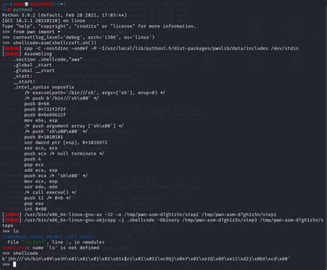 Shellcode基础 无名大仙