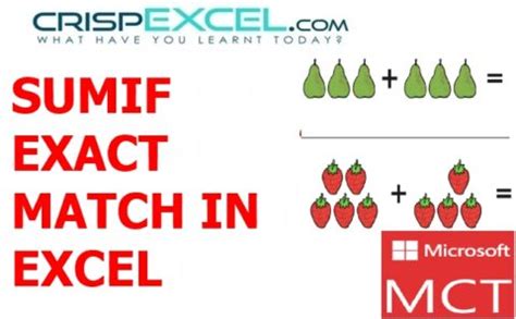 HOW TO SUMIFS EXACT MATCH IN EXCEL CrispExcel Training Consulting
