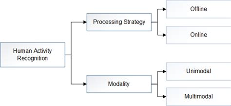 Input Data Variations Within Har Approaches Baseline Methods Are Shown