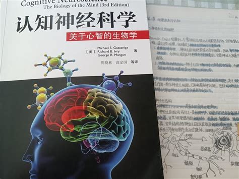《认知神经科学》笔记 神经系统的细胞（第二章 细胞机制与认知） 知乎