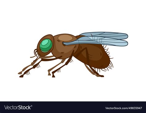 Insect Fly Side View Pose Agile Aerial Royalty Free Vector
