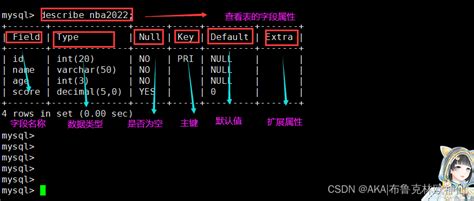 Mysql数据库基础语句mysql数据库语句 Csdn博客