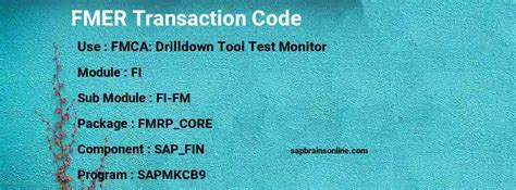 FMER SAP Tcode For FMCA Drilldown Tool Test Monitor
