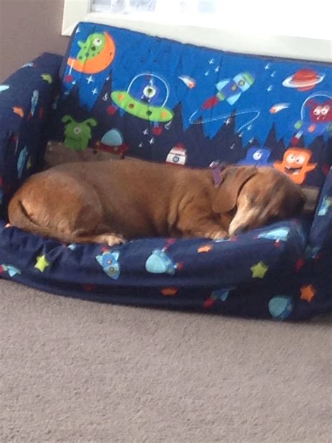 Comfy Spot Scrolller