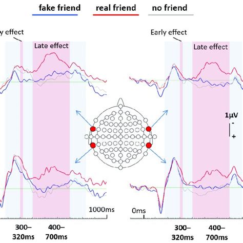 Event Related Potentials Erps Calculated For Every Single Electrode