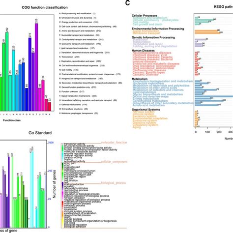 Phenotype Classification Of Putative Pathogenicity Genes In V Download Scientific Diagram