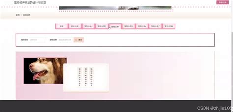 基于djangovue宠物领养系统的设计与实现【开题报告程序论文】 计算机毕设 Csdn博客