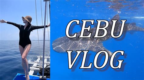 직장인 브이로그 세부 브이로그 세부 여행 오슬롭 모알보알 고래상어랑 거북이랑 수영하기 정어리떼 힐루뚱안 세부 호핑투어 Cebu 세부 2박 4