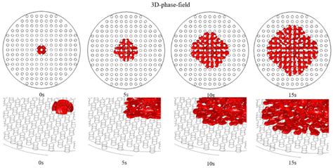 The Phase Field Of Dendritic Structure On The Surface With Circular Download Scientific Diagram