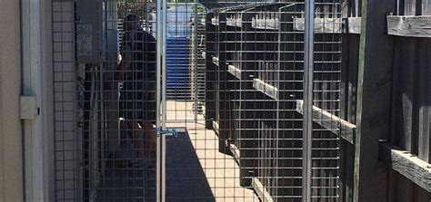 Lorem Ipsum Kitty Kingdom