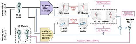 Our Semi Supervised Scheme For 3d Human Pose Estimation Consists Of A Download Scientific