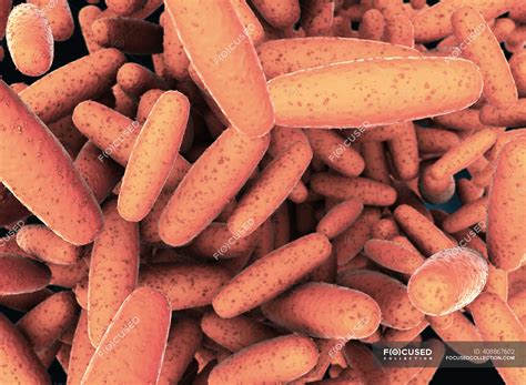 3d Illustration Of Pasteurella Multocida Bacteria This Is Gram Negative Non Motile Penicillin