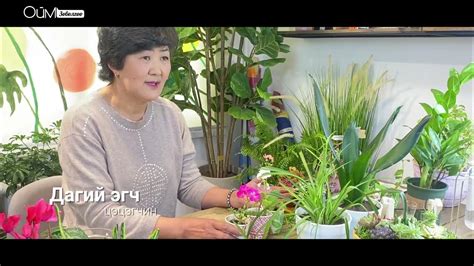 Ойм н зөвлөгөө 1 Дагий эгч Цэцэг ургамал сонгох Youtube