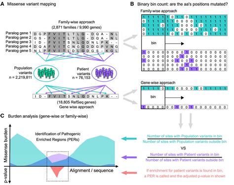 Identification Of Pathogenic Variant Enriched Regions Across Genes And Gene Families