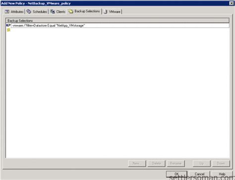 How To Configure NetBackup Policy To Backup VMware VMs Settlersoman