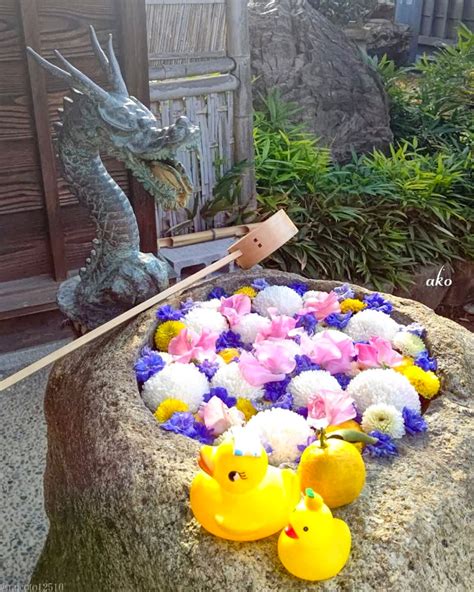 御井神社（12月）岐阜県各務原市の観光・撮影スポットの名所 東海カメラマップ