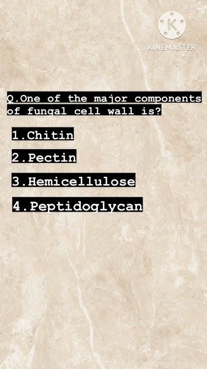 Neet2025preparation Biomolecules Biologicalclassification Youtube