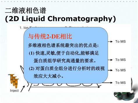 Ppt 多维色谱与 Maldi Tof Ms 联用技术 对人血清中低丰度蛋白的分离与鉴定 Powerpoint Presentation Id 6486940