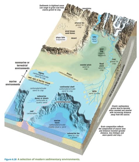 Solved After Analyzing The Rock Below I Was Able To Answer Chegg Com
