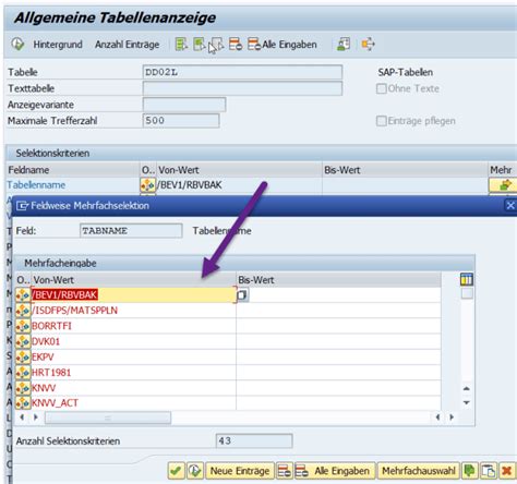 Sap Customizingkonzept Der Systematische Weltmeister Ansatz
