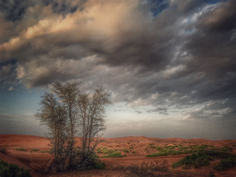 배경 화면 모래 언덕 수평선 대조 비 Poststorm 평온 나무 어 구름 하늘 사막 3790x2842 1063211 배경 화면 Wallhere