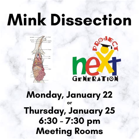 Png Mink Dissection Moline Public Library
