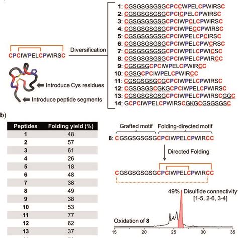 A Design Of Two Phage Displayed Peptide Libraries Using The
