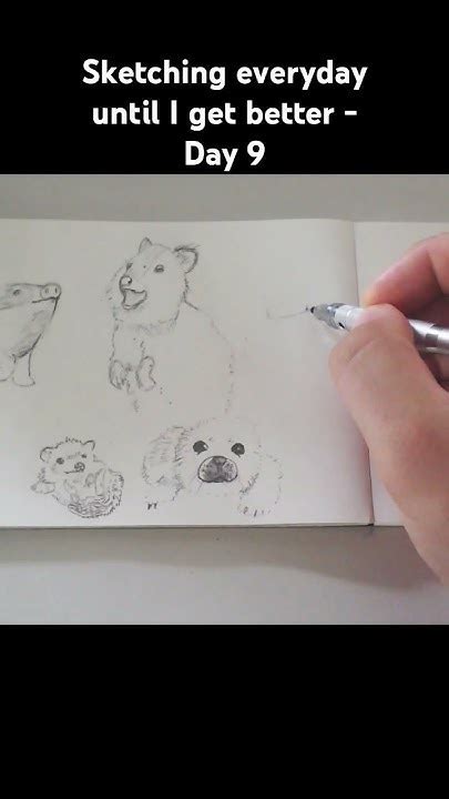 Day 9 Last Day Of Single Digits 100dayschallenge Consistency Sketch