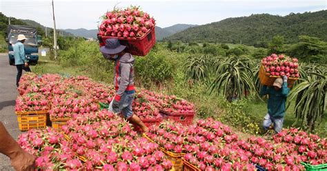 Pog9pau1aicqtyloamsm 