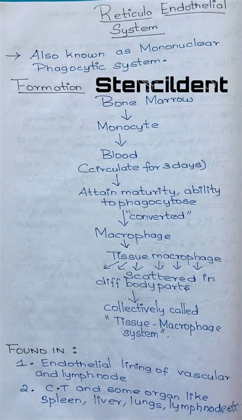 Reticuloendothelial System Formation Classification