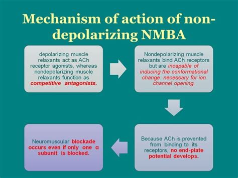 Neuromuscular Blocking Agents Ppt