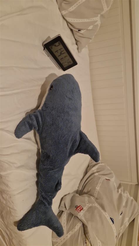 Blahaj Looking At Time R Blahaj