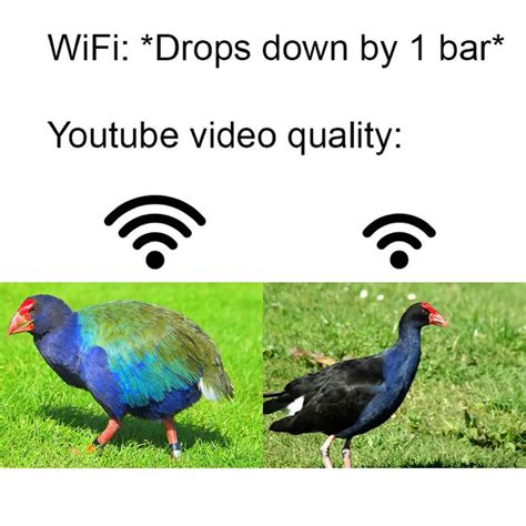 Relatable Content Scrolller