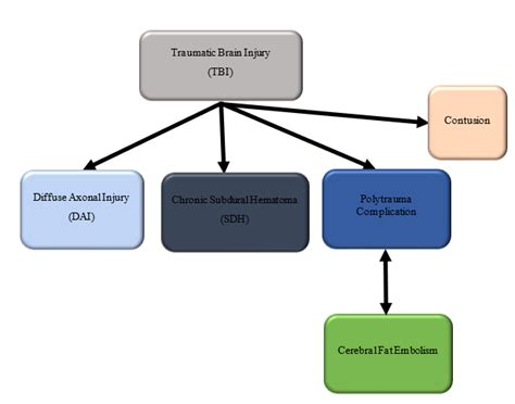 Schematic Diagram Of The Clinical Application Of Swi In Tbi Download Scientific Diagram