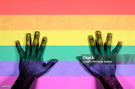 게이 자부심의 무지개색으로 손바닥을 엽니다 성소수자 평등권 운동과 성평등 개념 게이 프라이드 상징에 대한 스톡 사진 및 기타