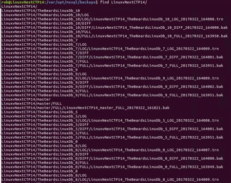 Backing Up Sql Server On Linux Using Ola Hallengrens Maintenance Solution Sqlservercentral